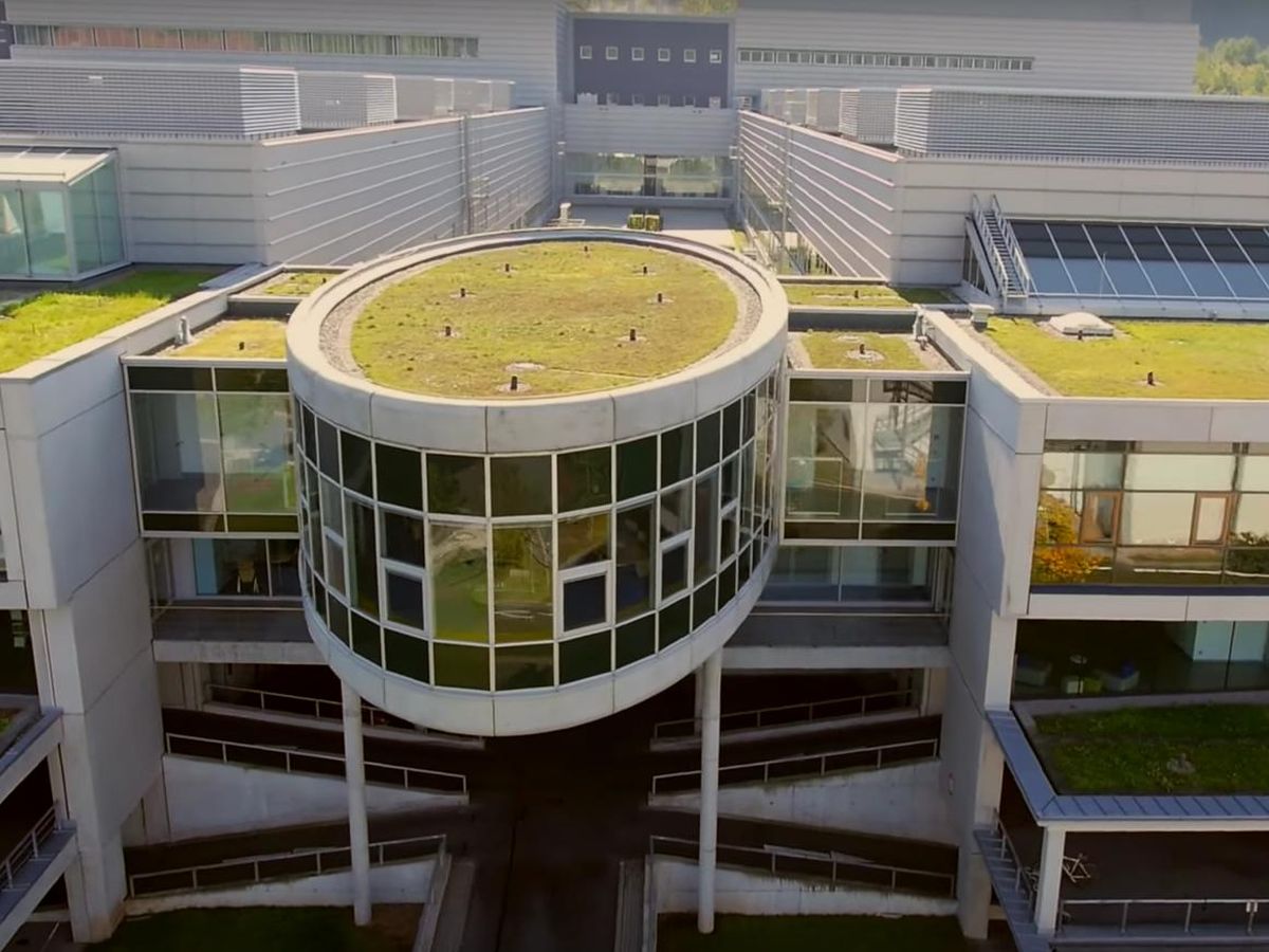 Estos son los millennials más ricos del mundo: suman un patrimonio de ...