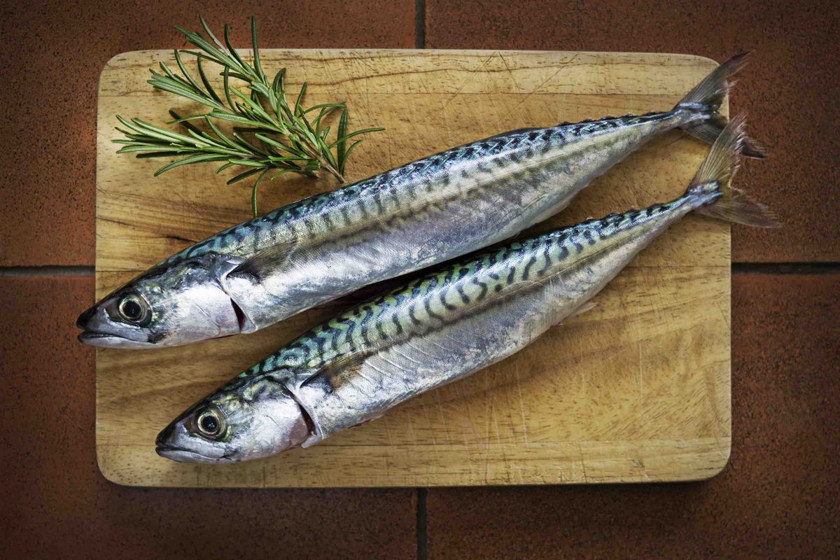 Pescados azul, blanco o semigraso: beneficios según cada tipo