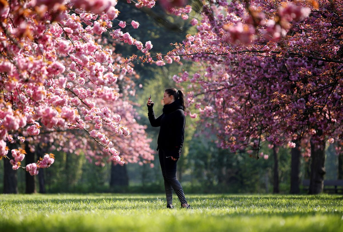 ¿Cuándo empieza la primavera en 2021? Día y hora del equinoccio