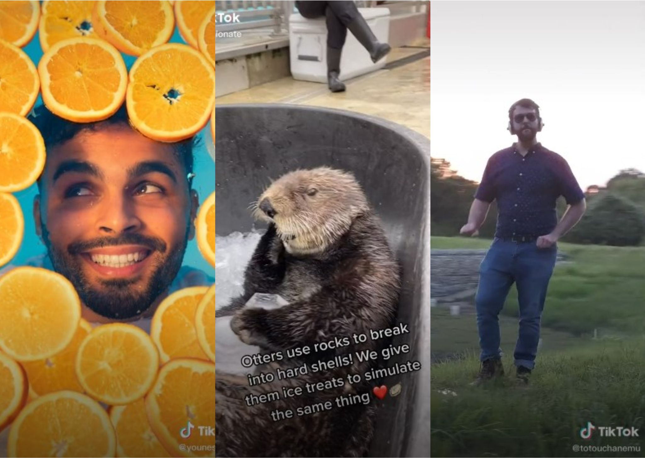 Un paseo por los 13 vídeos más virales de TikTok en 2021: desde ...