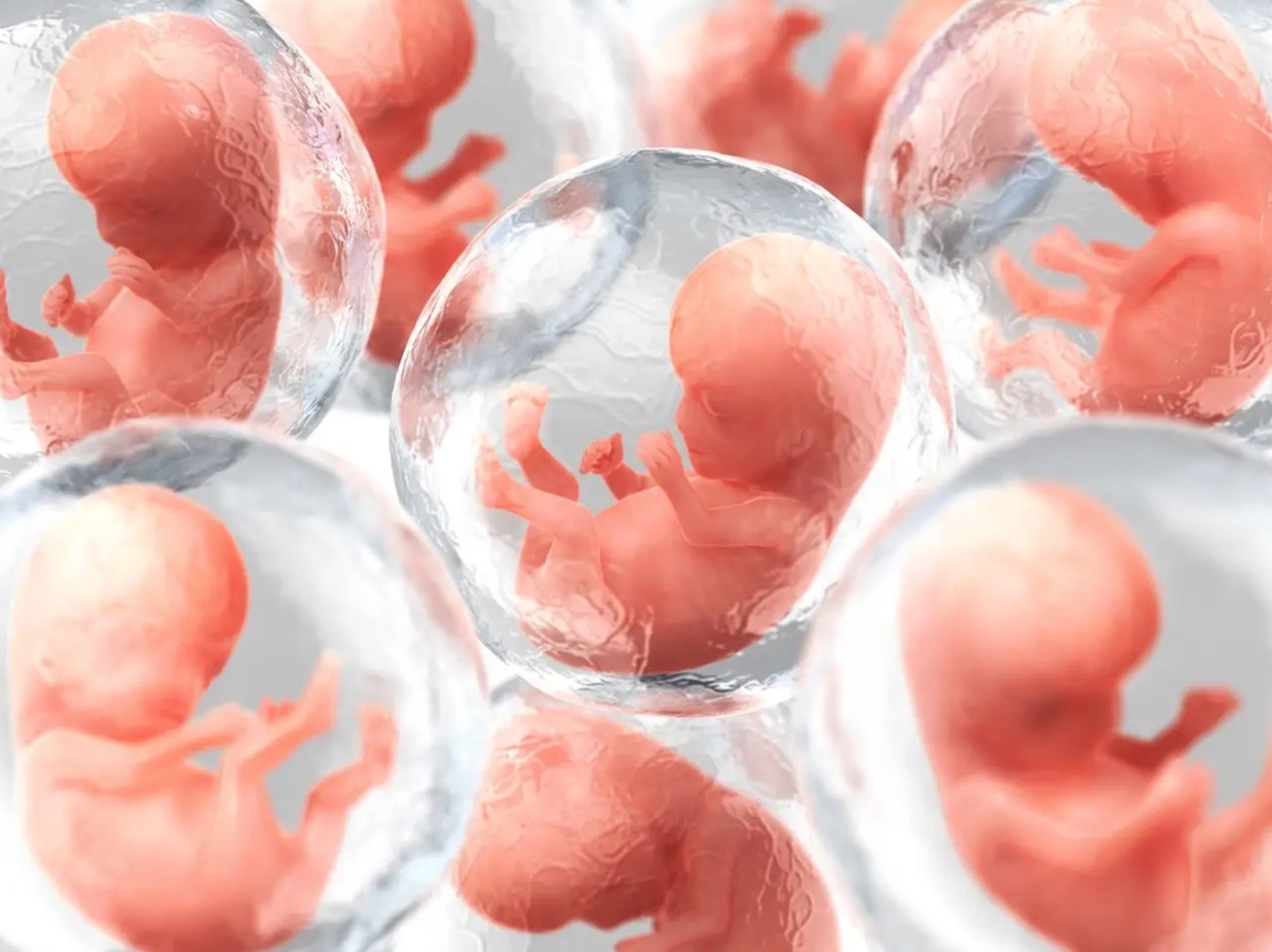 Una biotecnológica quiere crear embriones humanos para hacer ...