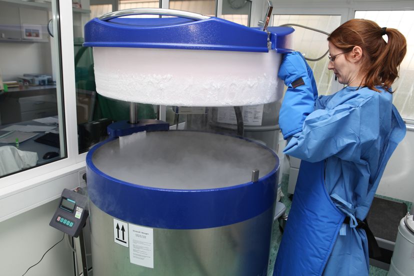 Qué es la criogenización: todo lo que debes saber sobre este proceso de ...