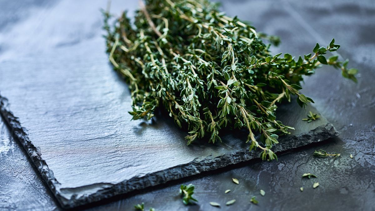 Por qué deberías tomar tomillo: beneficios y propiedades de esta ...