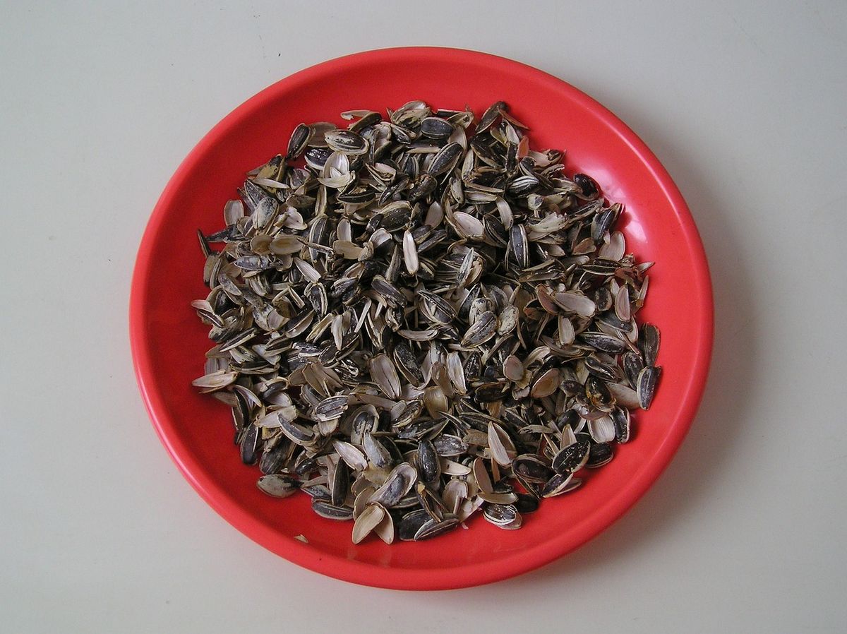 Comer pipas todos los días: ¿es bueno o malo?