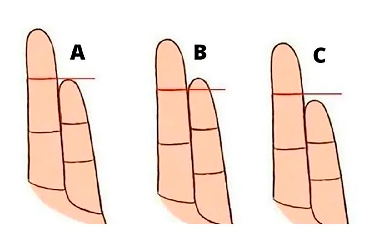 Test Visual De Personalidad Esto Es Lo Que El Tamaño De Tu Dedo