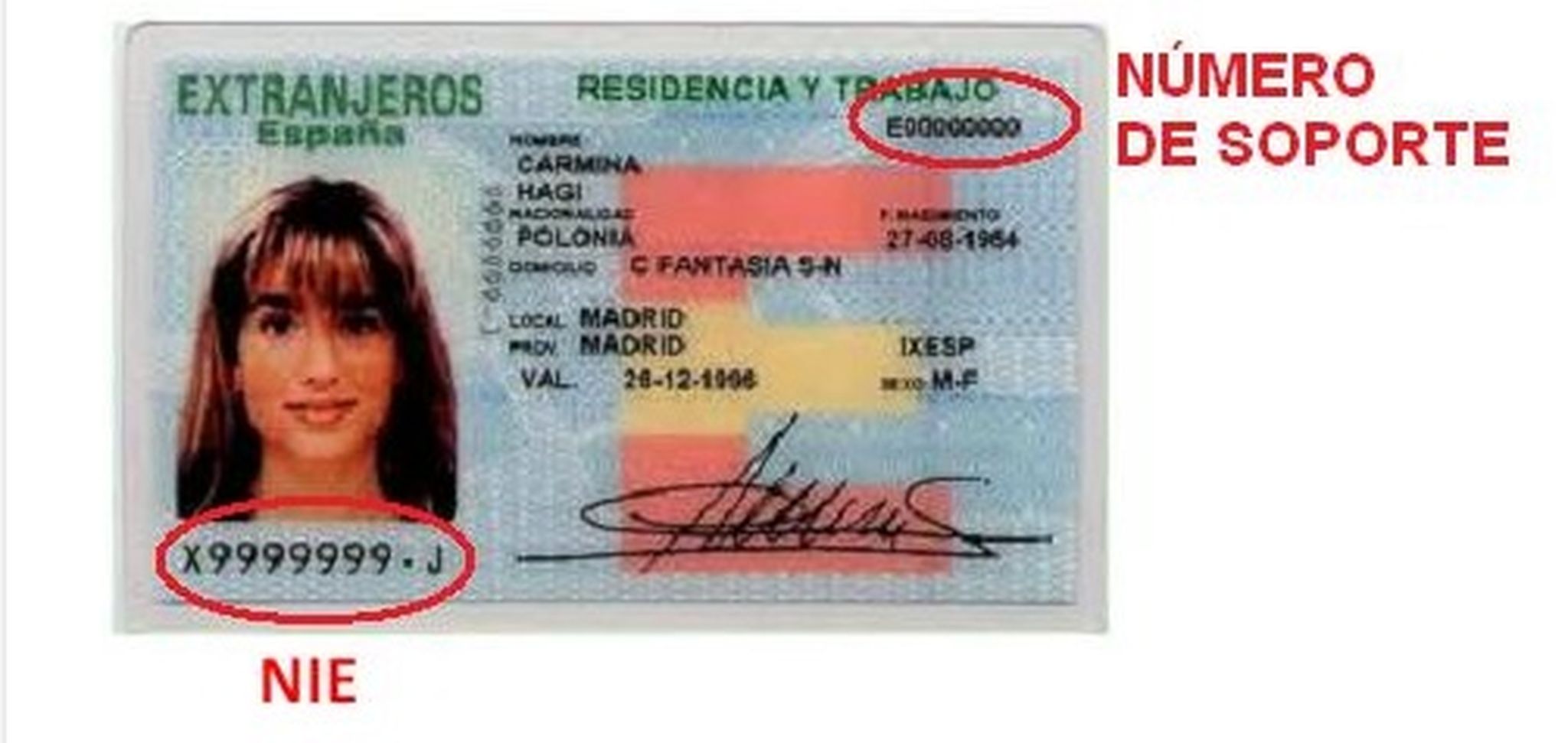 Cómo conseguir el número de soporte en el NIE y para qué sirve