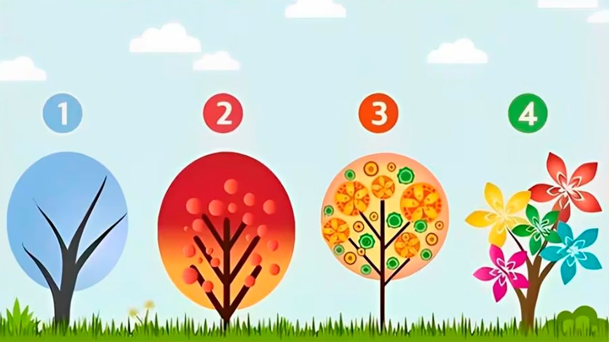 Test visual de personalidad: el árbol que escojas revela la emoción que ...