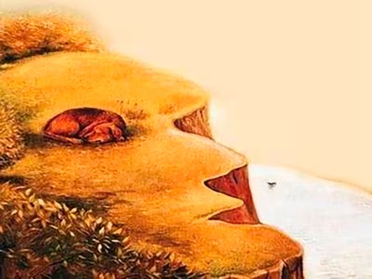 Test visual de personalidad: descubre cuál sería tu estilo de vida ideal